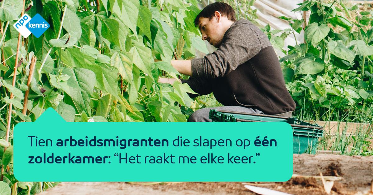 Hoe gaan we met arbeidsmigranten om in Nederland? | NPO Kennis