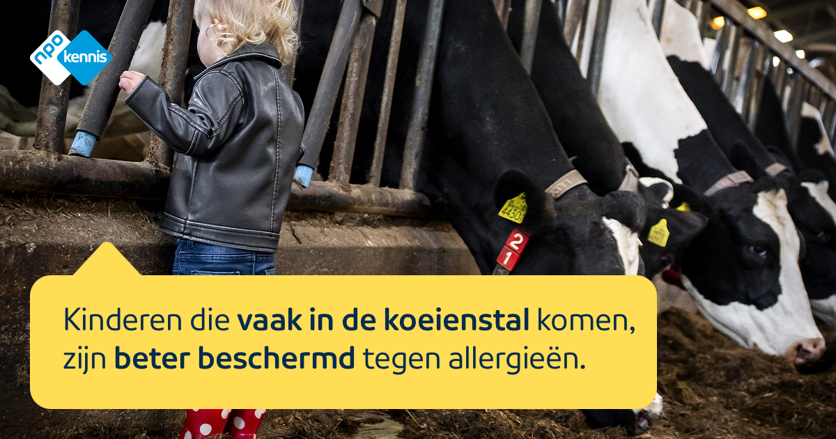 Waarom zijn we vaker allergisch? | NPO Kennis